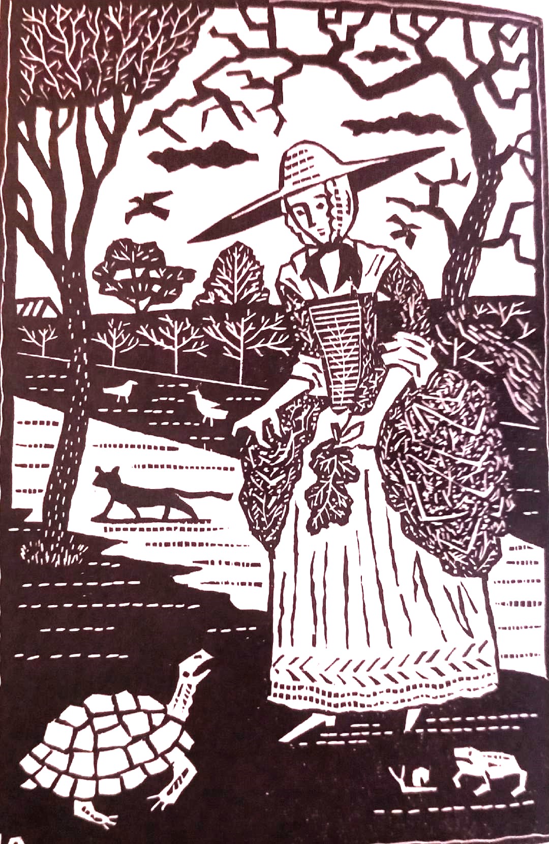 Timothy the Tortoise – Artistic Horizons